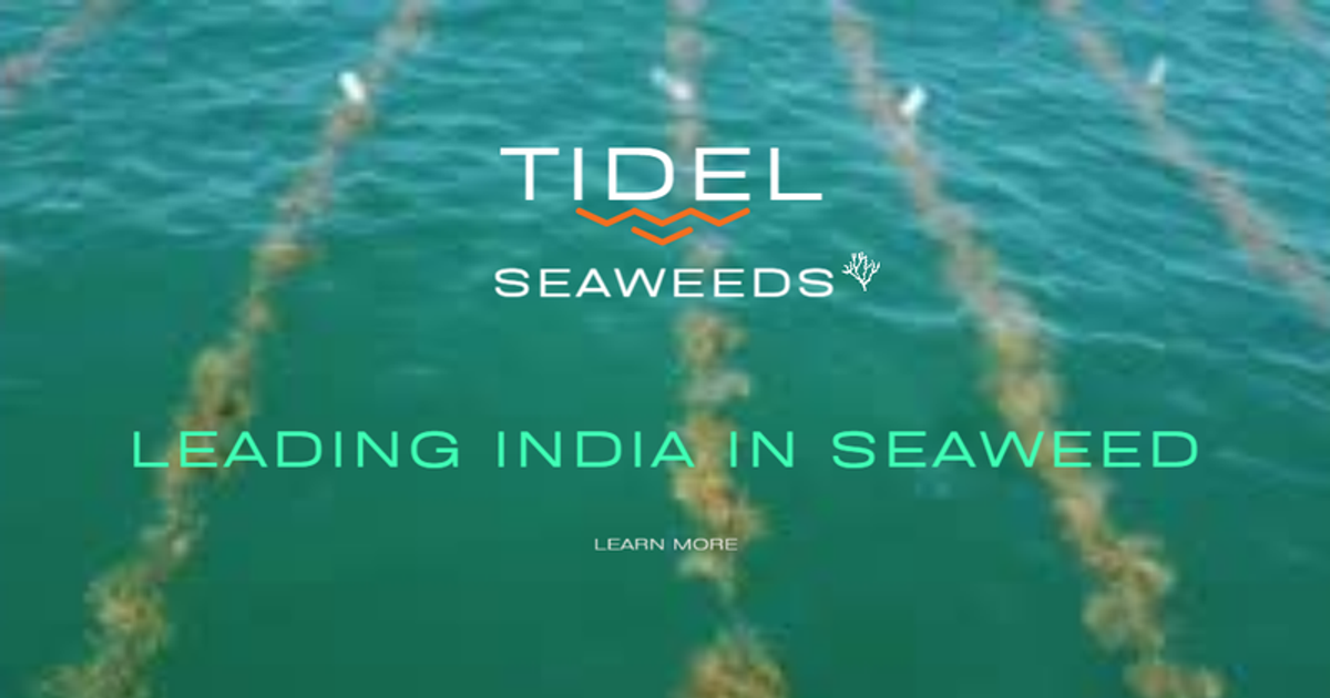 TIDEL Seaweeds